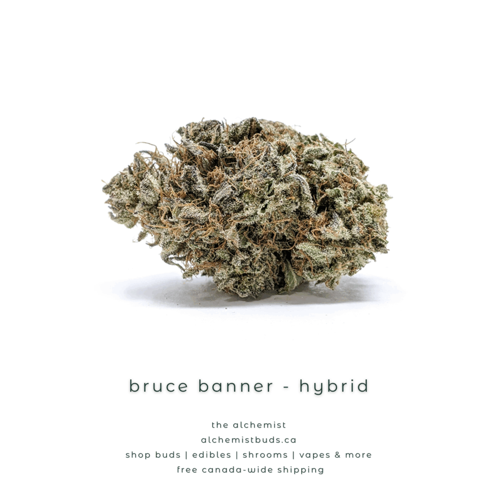 AAAA | BRUCE BANNER – HYBRID – The Alchemist