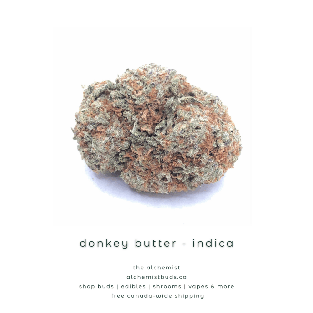 AAAA | DONKEY BUTTER – INDICA – The Alchemist